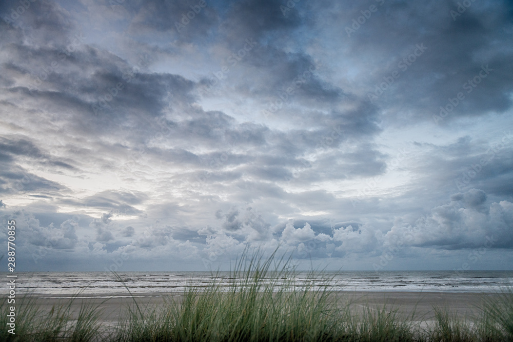 Dune landscape, sunset by the sea, beautiful blue cloudy sky, contrast ...