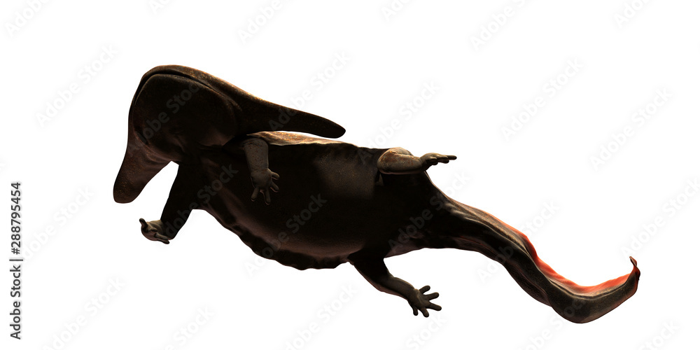 Diplocaulus, extinct amphibian from the Late Carboniferous to Permian ...