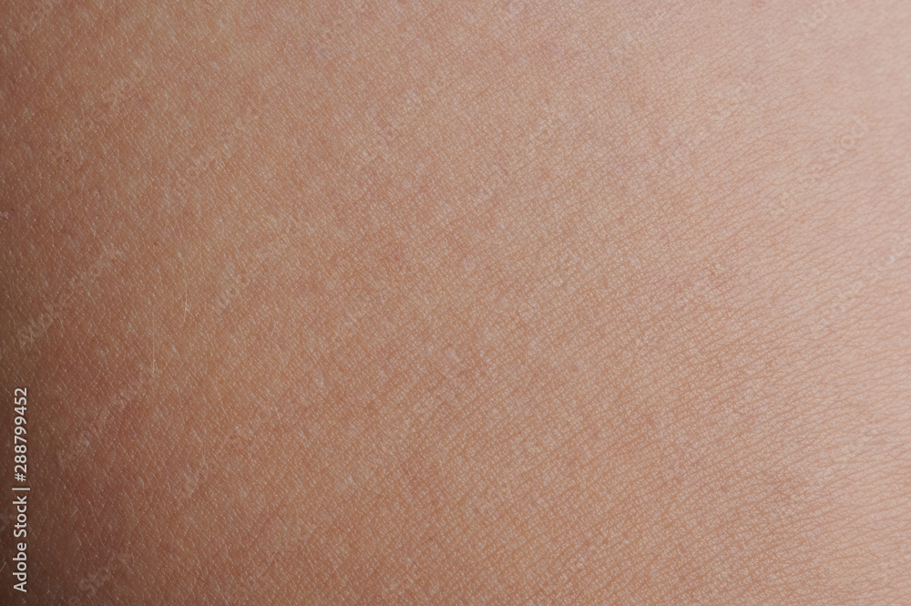 Blank clean skin texture background Stock Photo | Adobe Stock