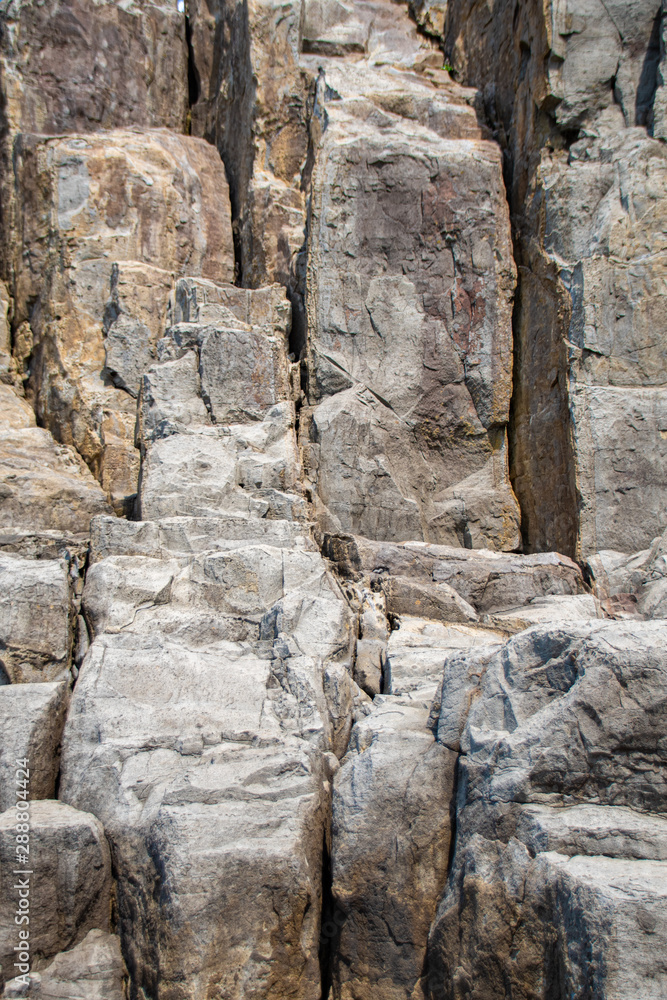 The columnar joint rocks made of andesite at Tojinbo located in Mikuni ...