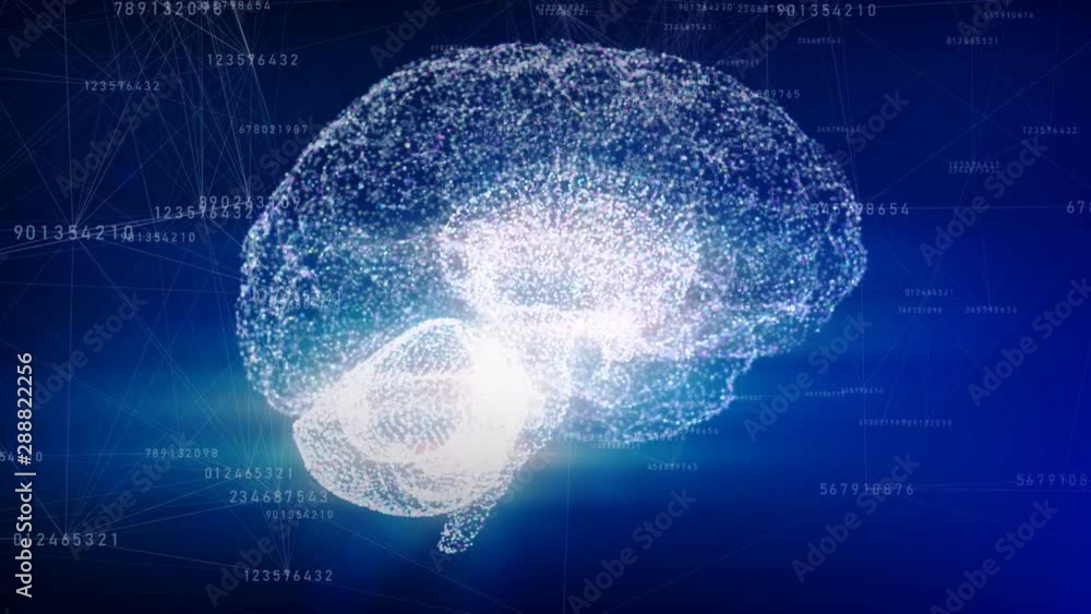 Plexus animation with human brain which consists from point and edges ...