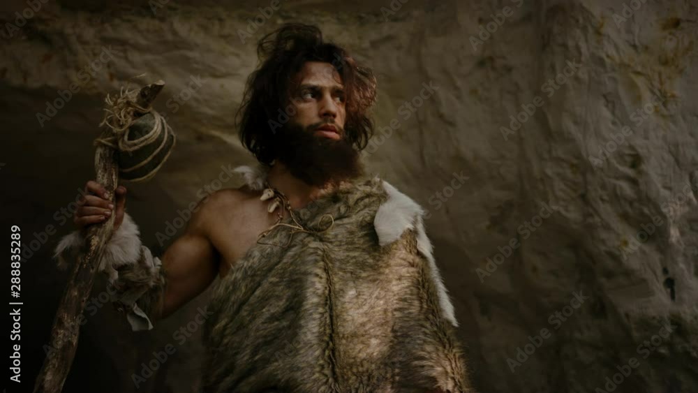Primeval Caveman Wearing Animal Skin Holds Stone Tipped Hammer Comes ...