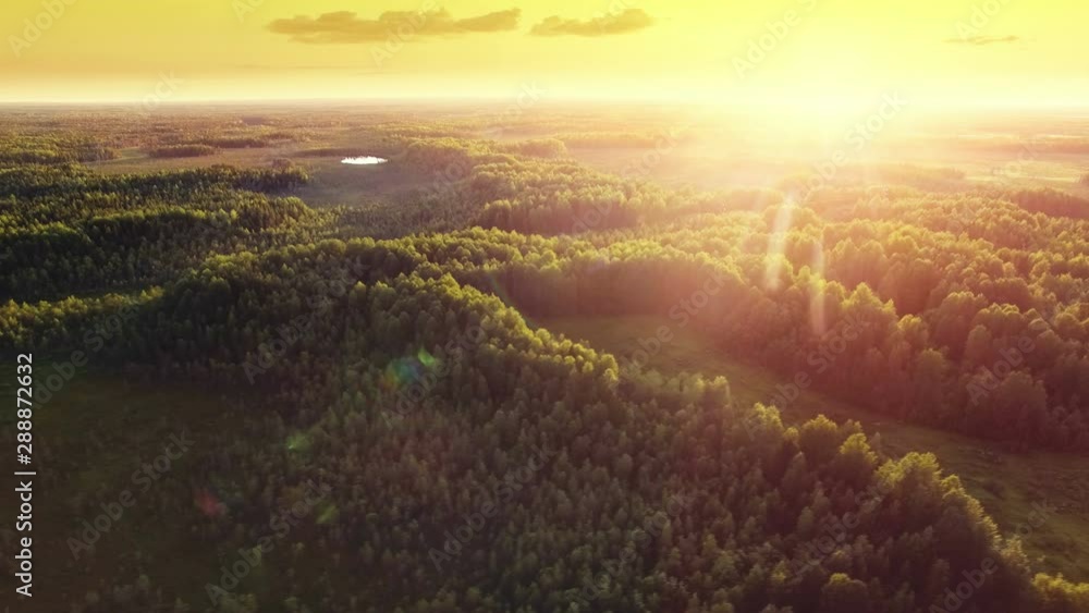Aerial ecological forest sunset beautiful panorama shot. Ideal ...