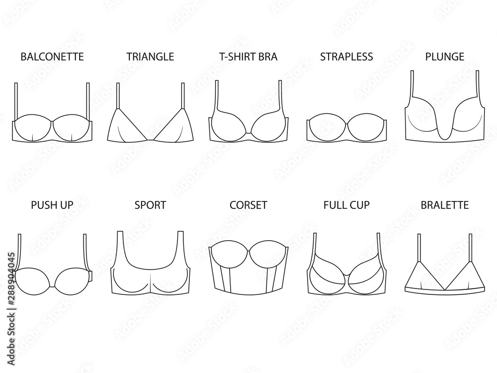 Types of women's bra isolated on white background. Set of brassieres ...