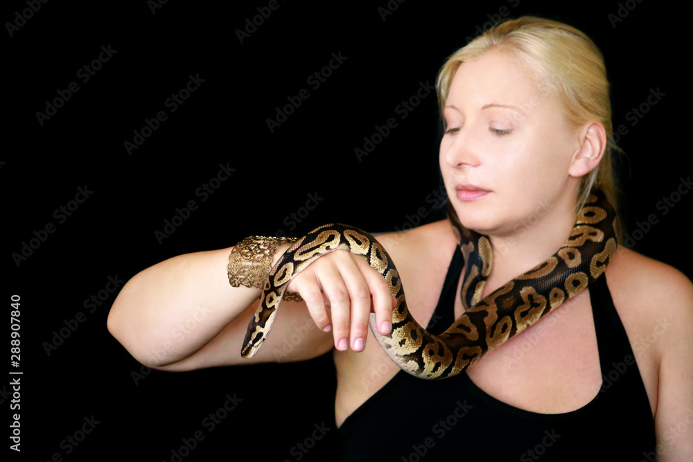 Portrait of girl with Royal Python snake. Woman holds Ball Python snake ...