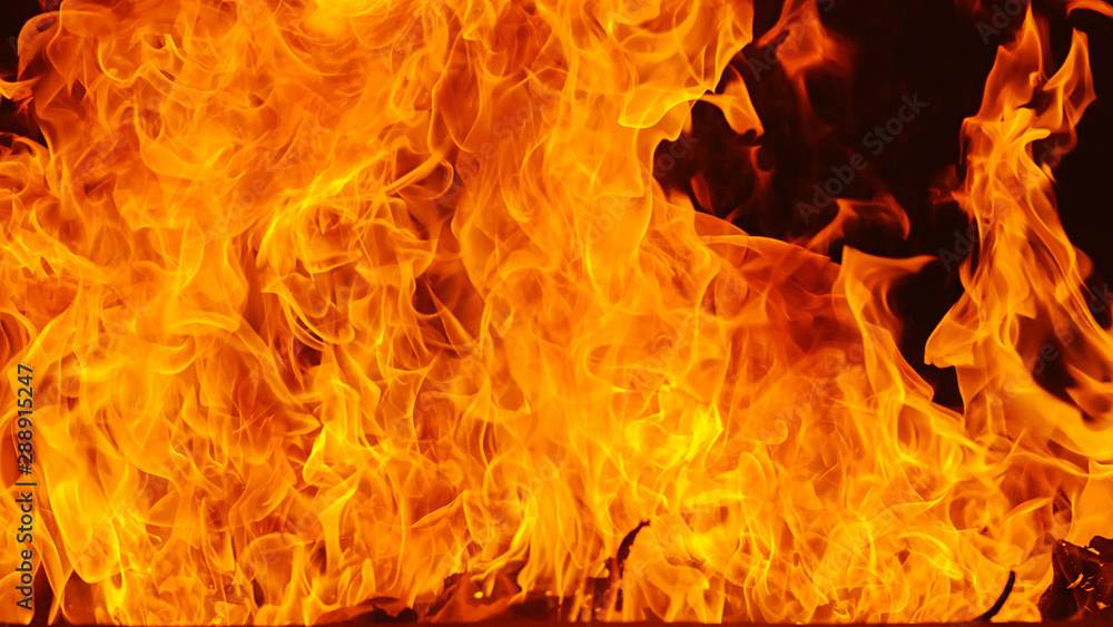 Blazing fire flame background and textured, Closeup forest fire Stock ...