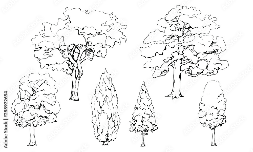 Tree collection illustration, drawing, engraving, ink, line art ...