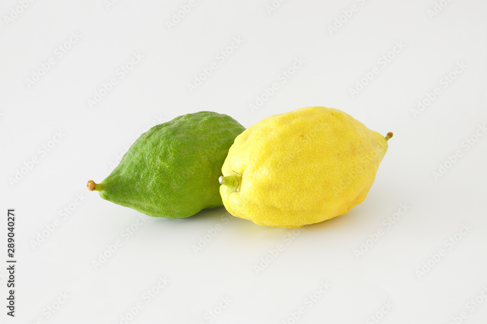 religion image of Jewish festival of Sukkot. Traditional symbol one of ...