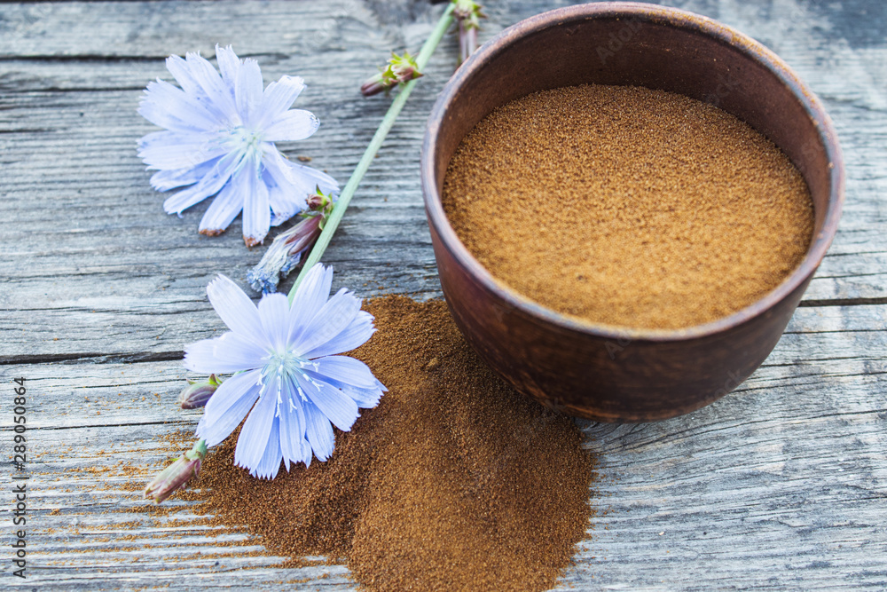 Blue chicory flower and a bowl of instant chicory powder on an old ...