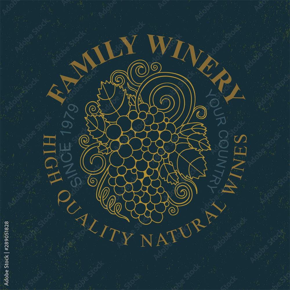 Grape. Hand drawn grape and vine engraving style illustrations set ...