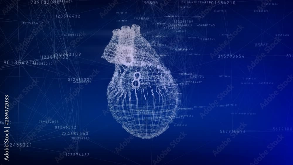 3d rendering of a human heart which consists of points and lines ...