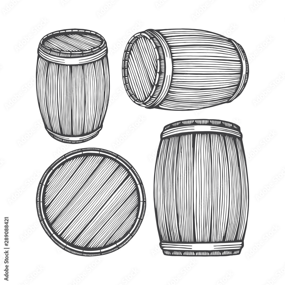 Barrel. Oak barrel hand drawn vector illustrations set. Wooden keg ...