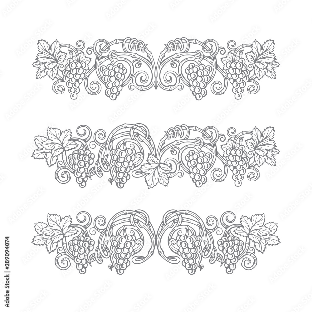 Grape. Hand drawn grape and vine engraving style illustrations set ...