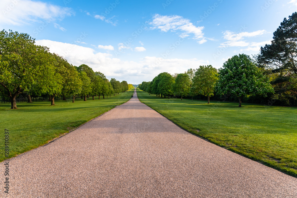 Straight road lined with trees in a park on a clear spring day. People ...