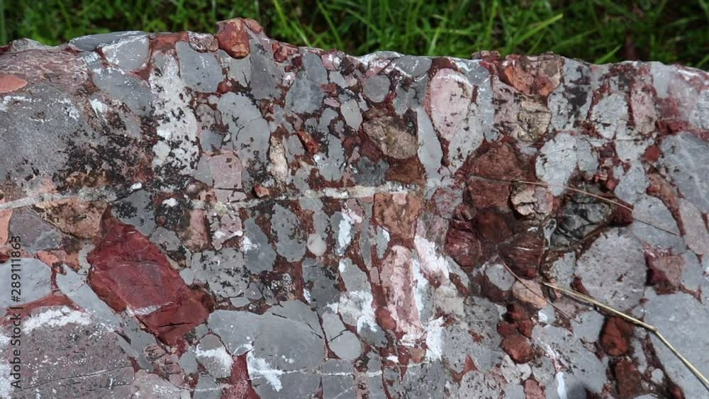 Natural specimen of conglomerate - sedimentary rock composed of rounded ...