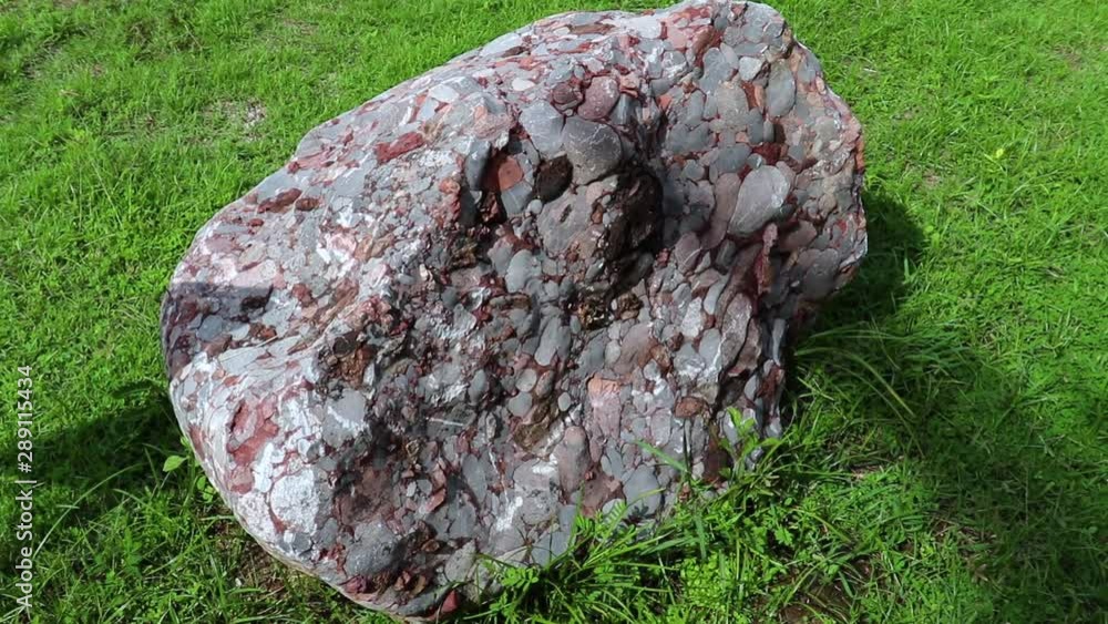 Natural specimen of conglomerate - sedimentary rock composed of rounded ...