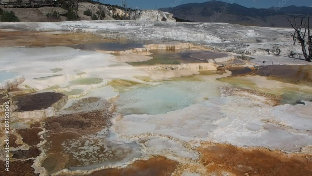 Mammoth Hot Springs is a large complex of hot springs on a hill of ...