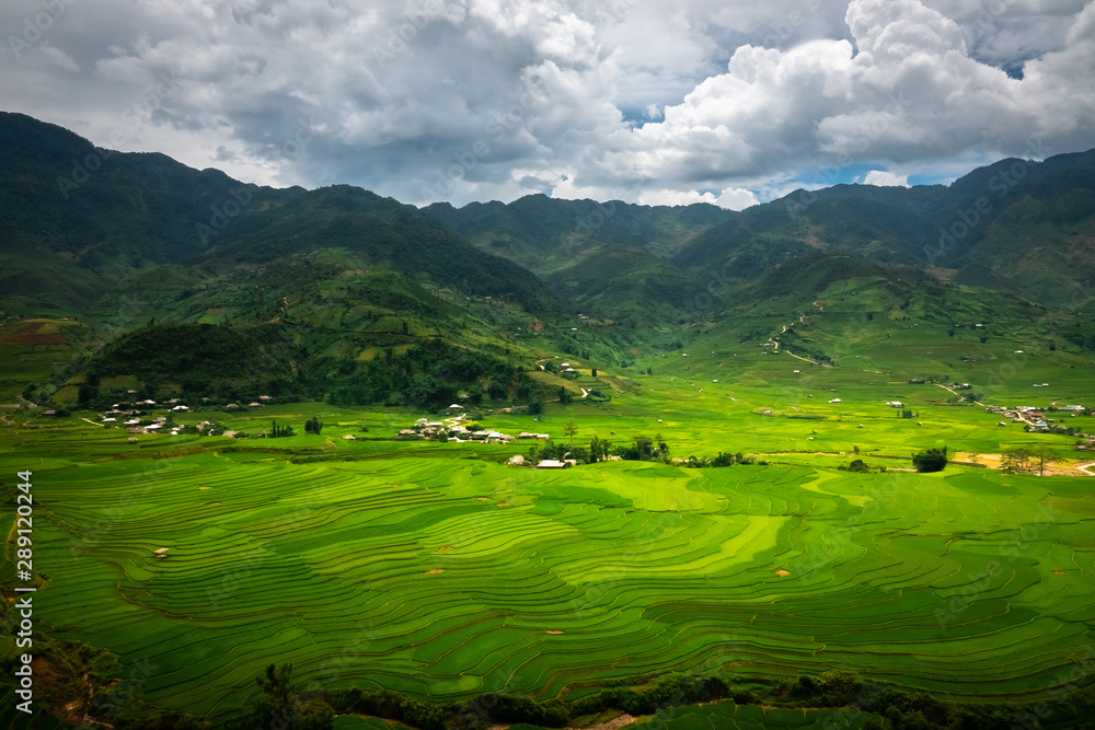 Foto de Aerial view on the rice fields of Tu Le valley, between Nghia ...