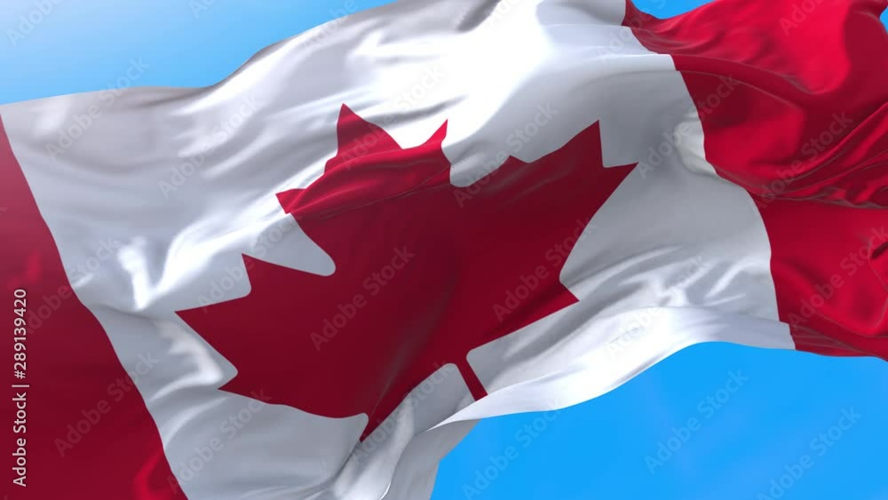 Canadian flag video waving in wind 4K. Realistic Canada background ...