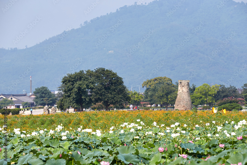 Cheomseongdae is a famous cultural property in Gyeongju-si, Korea ...