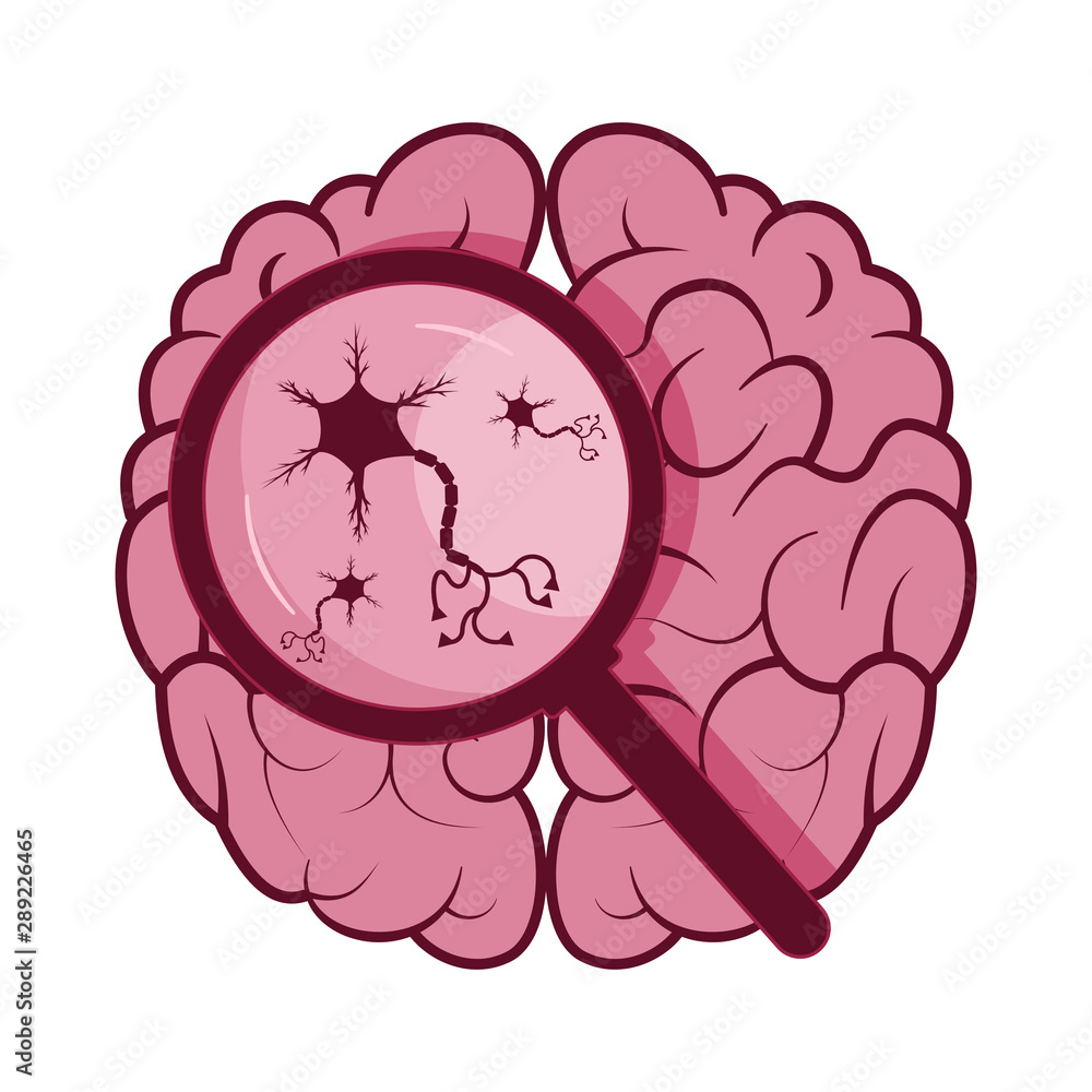 Human Brain Cell