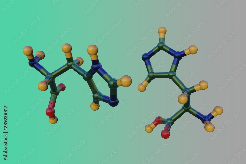 Molecular structure of d-histidine, an optically active form of ...
