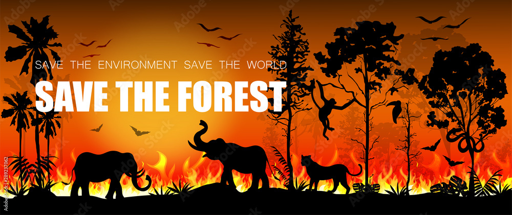 Poster Forest fires in Amazon and Australia with silhouettes of wild ...