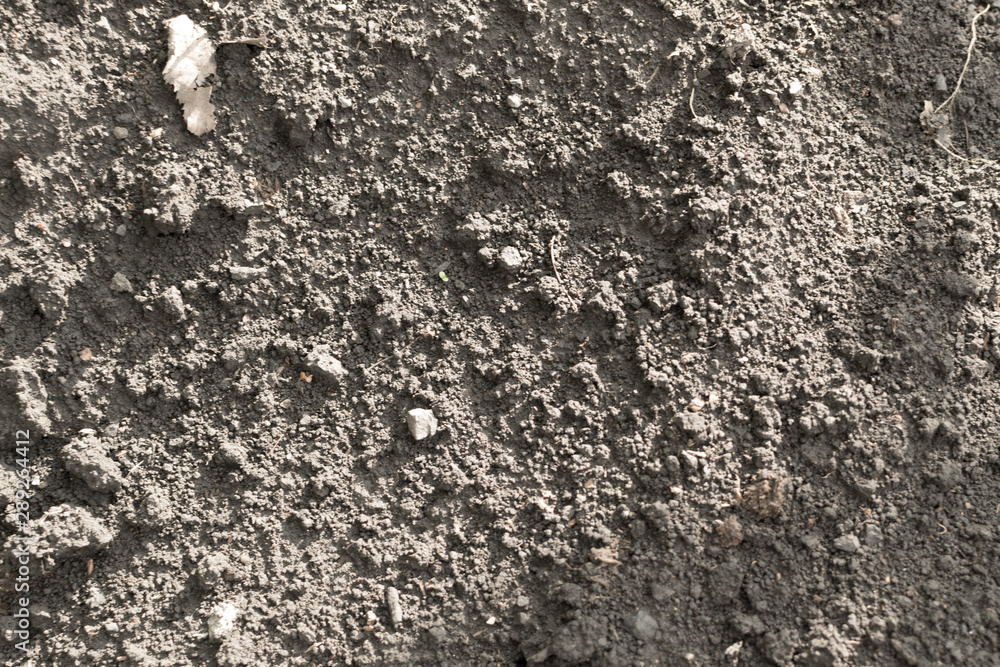 Grey Soil