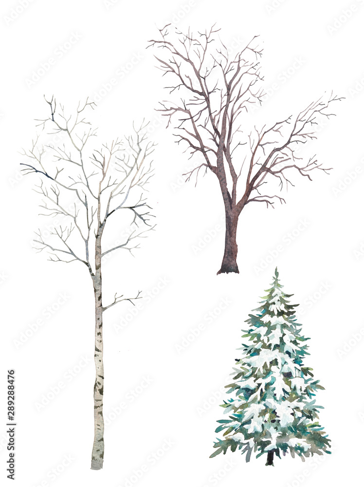 Winter Tree Silhouette Snow