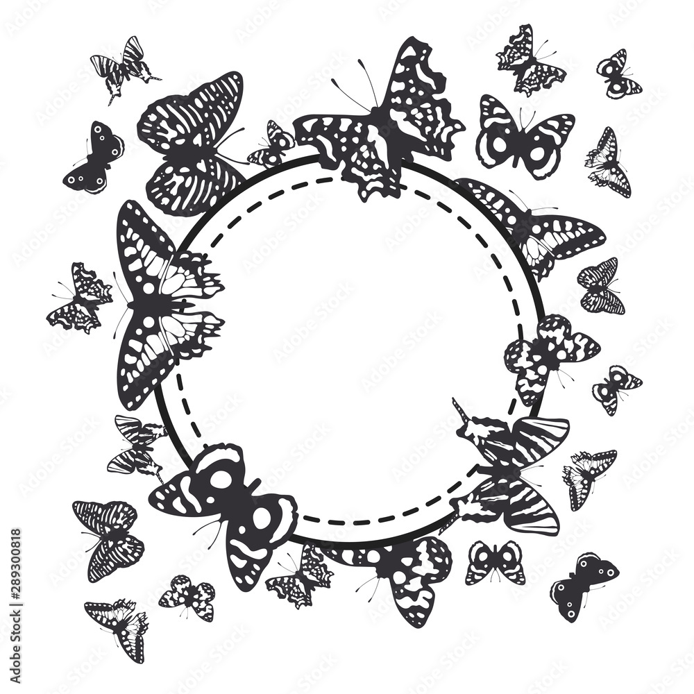 Butterfly Vector Border