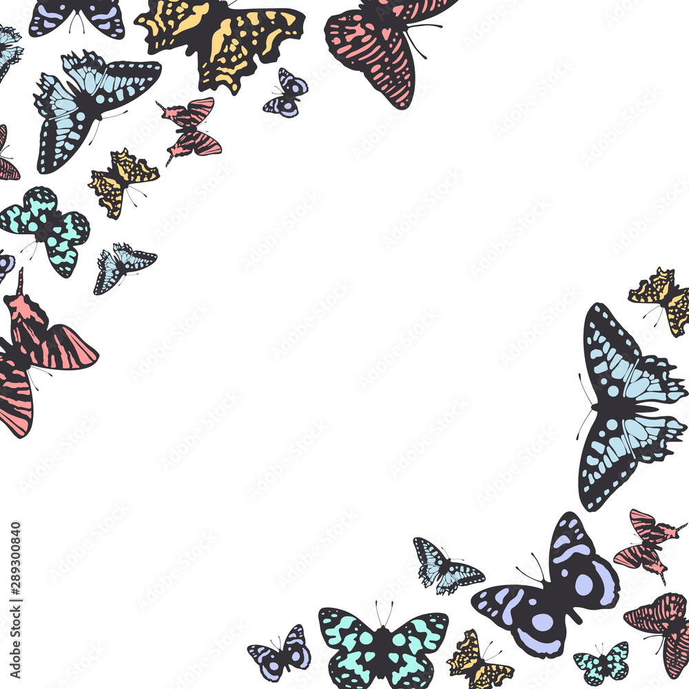 Butterfly corner frame. Gorgeous monarch wedding decoration border ...