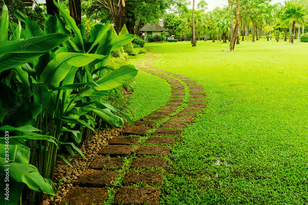 Pattern of Laterite stepping stone on a green Lawn backyard in the ...