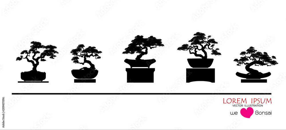 set of Bonsai, Black silhouette of bonsai. Detailed image. Vector ...