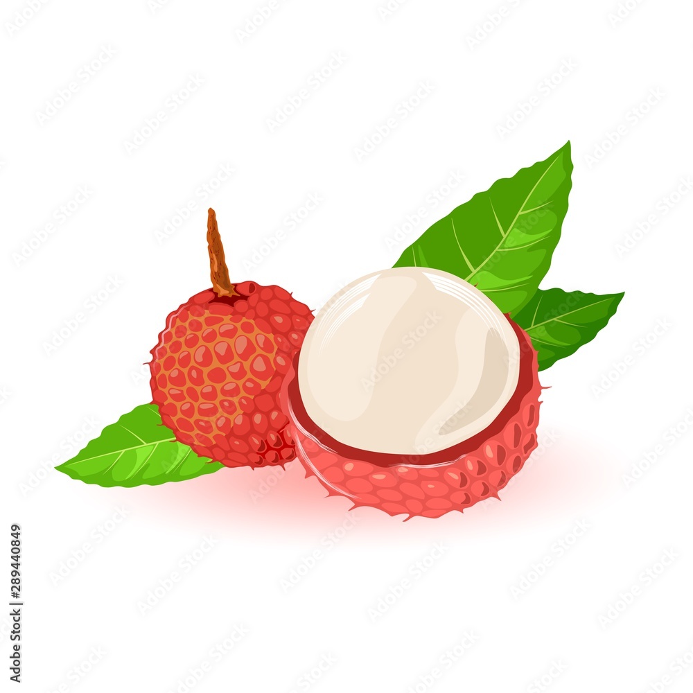 Fresh lychee or litchi chinensis with leaves. Half and whole exotic ...