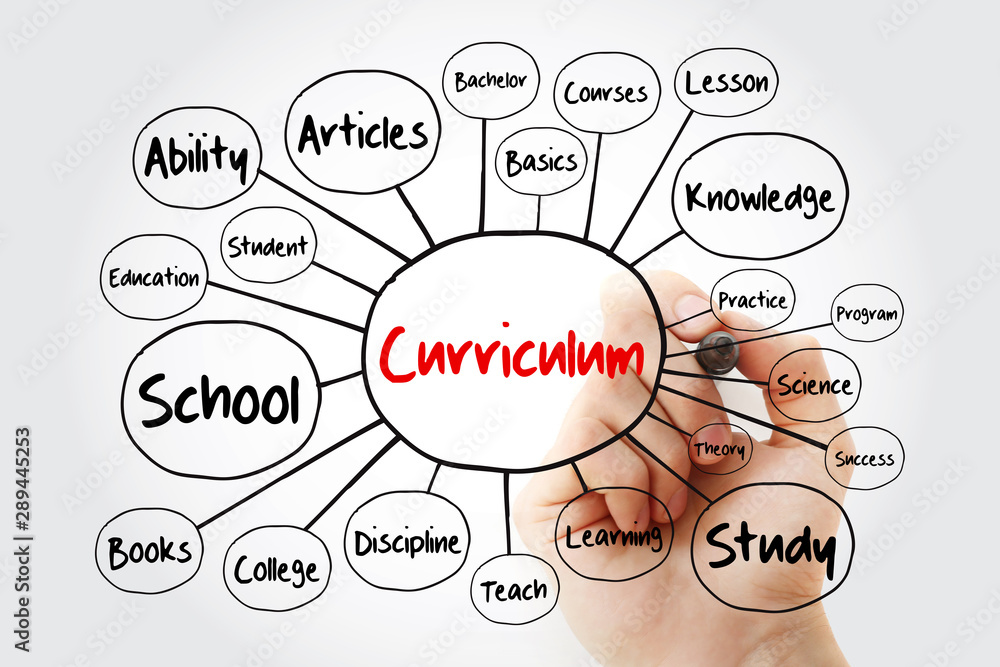 Curriculum mind map flowchart with marker, education concept for presentations and reports Stock ...