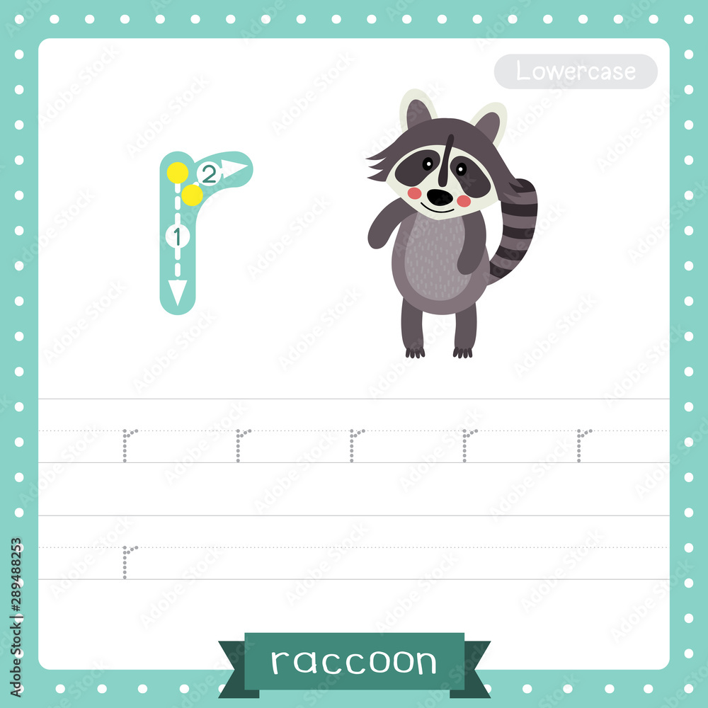 Letter R lowercase tracing practice worksheet. Standing Raccoon Stock ...