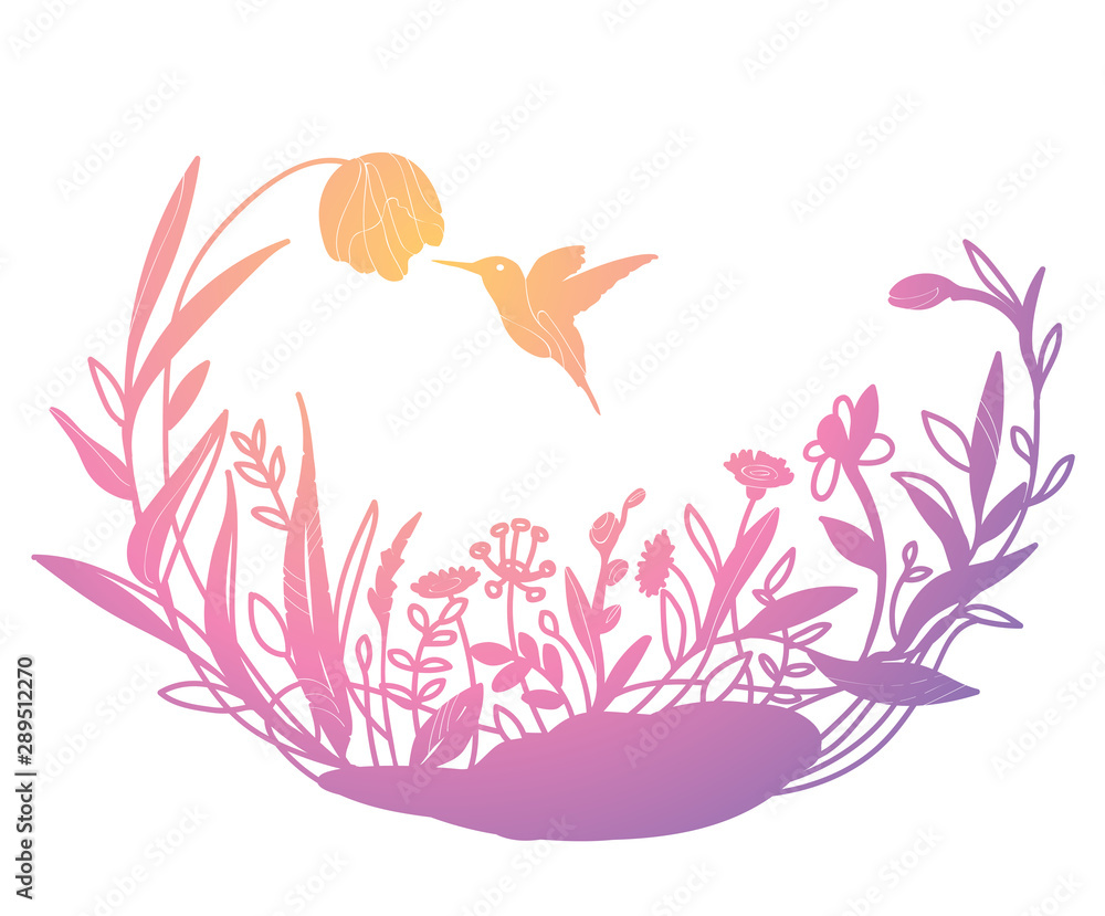 Vector illustration with a hummingbird in flowers. Stylized flowers ...