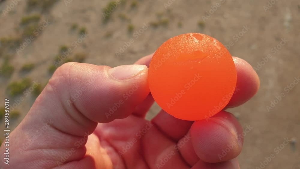 The ball is small in the hand. Motility of the hands. Hand development ...