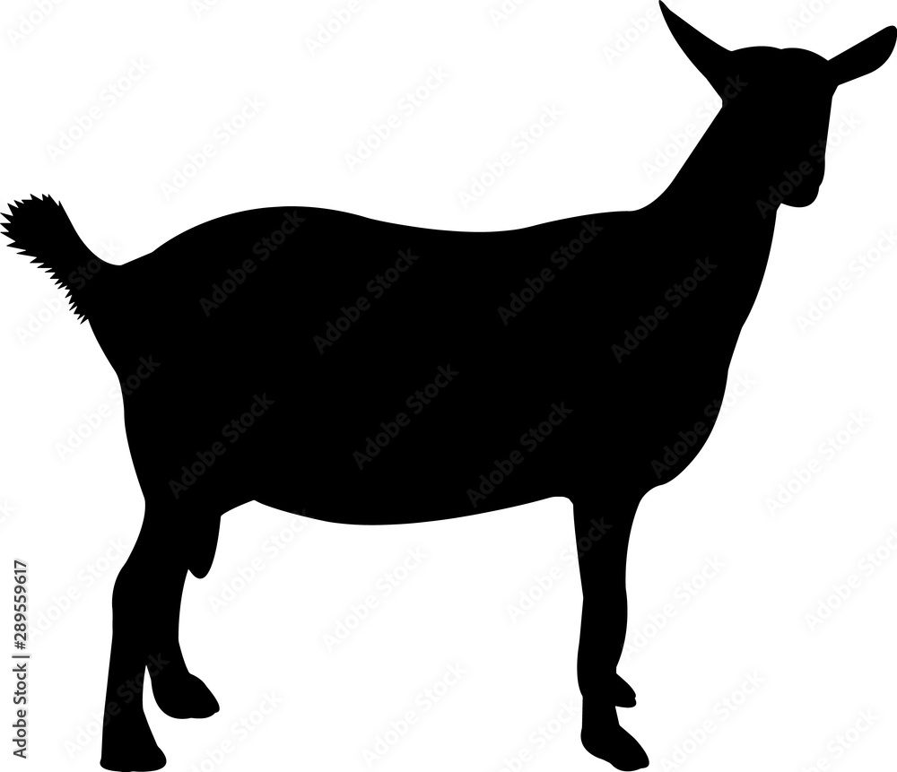 Alpine Goat Vector Silhouette Stock Vector Adobe Stock