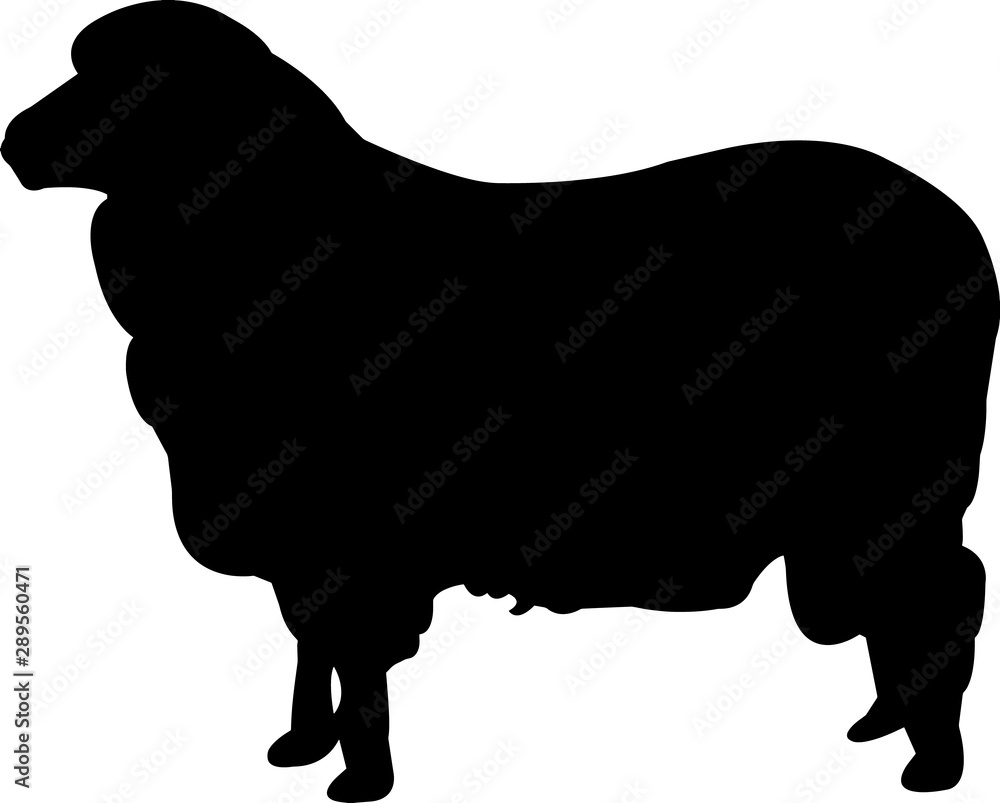 Merino sheep Vector Silhouette Stock Vector | Adobe Stock
