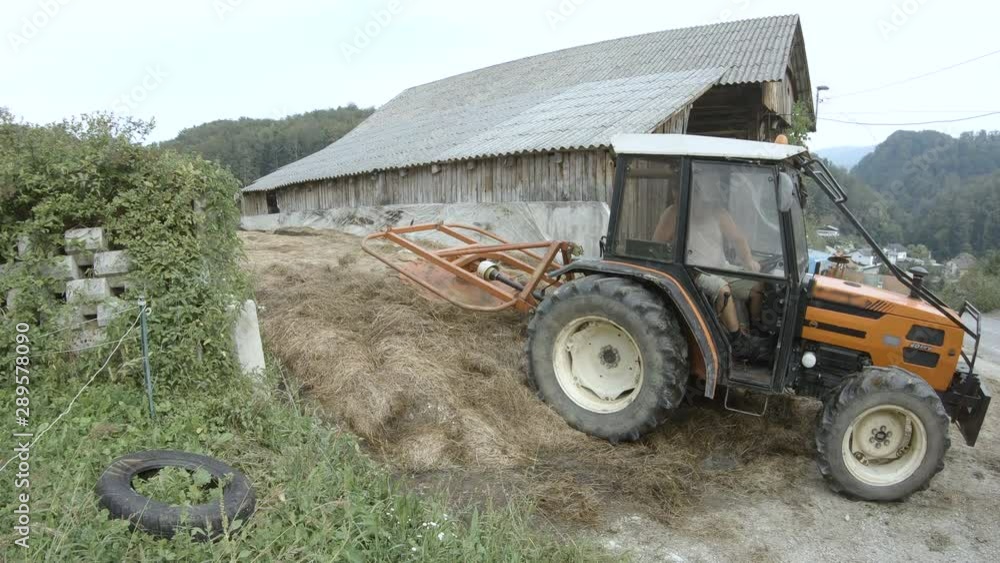 Farmer with tractor spreading silage grass 4K. Wide view of tractor ...