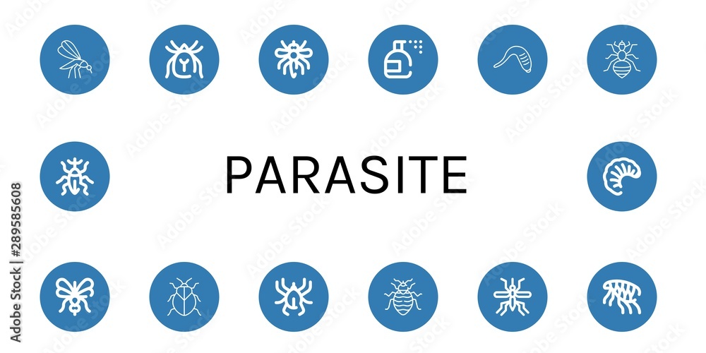 Set of parasite icons such as Mosquito, Mite, Insecticide, Leech, Louse ...