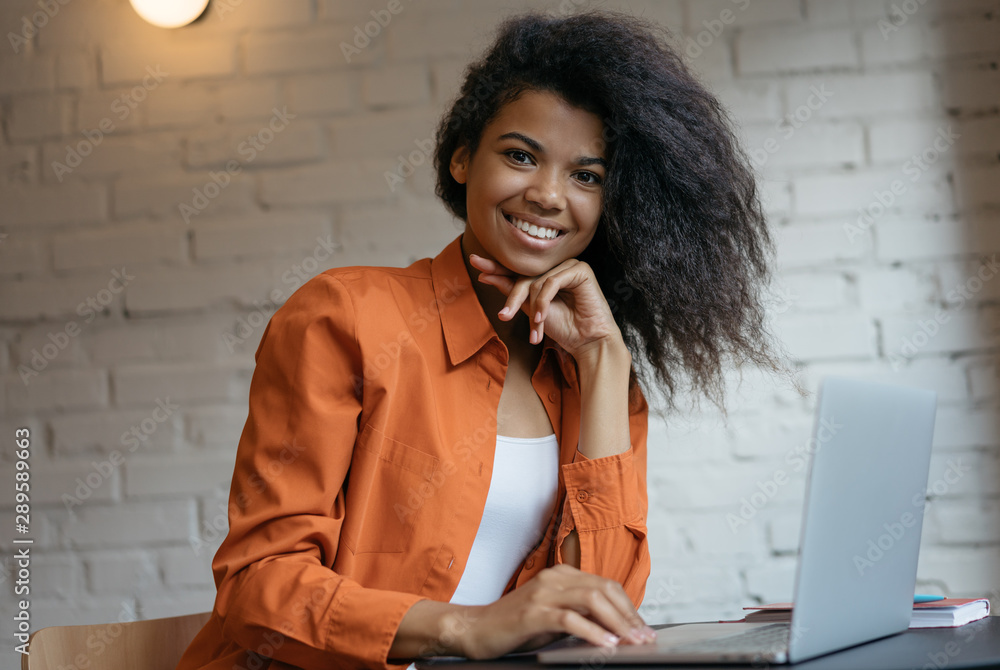 Successful Business Woman Working