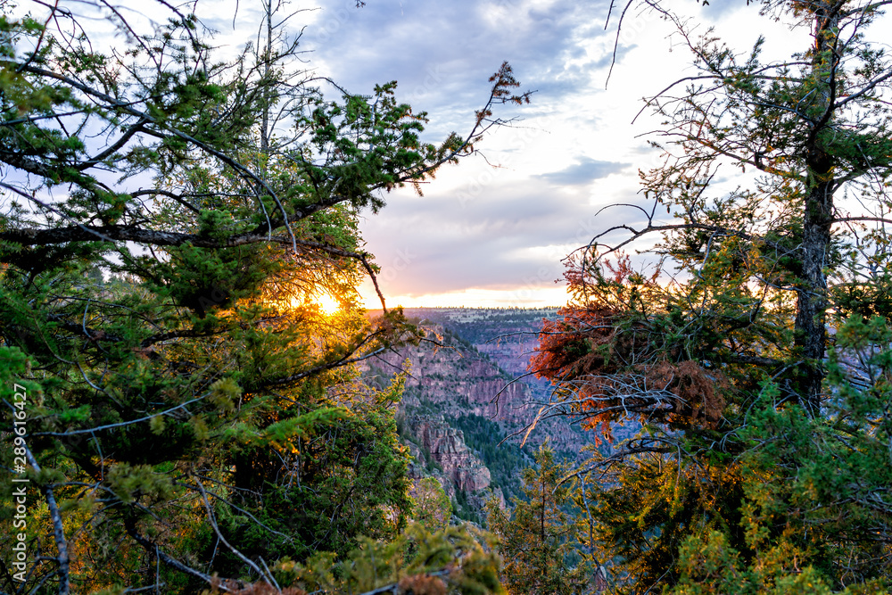 Tree framing view of sunset from Canyon Rim Campground in Flaming Gorge ...