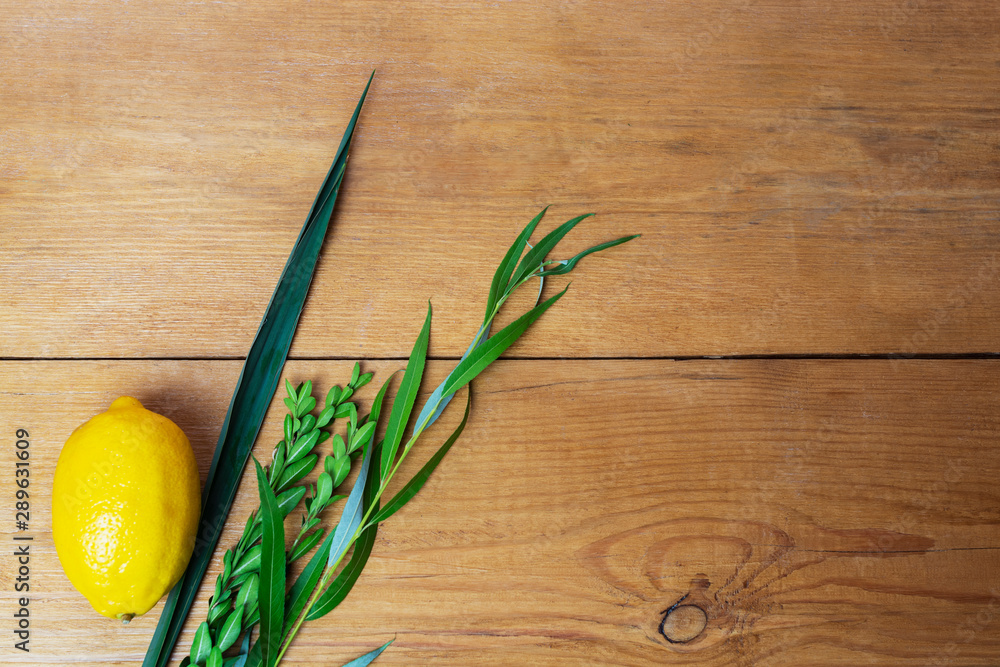 Symbols of jewish fall festival of Sukkot, lulav - etrog, palm branch ...