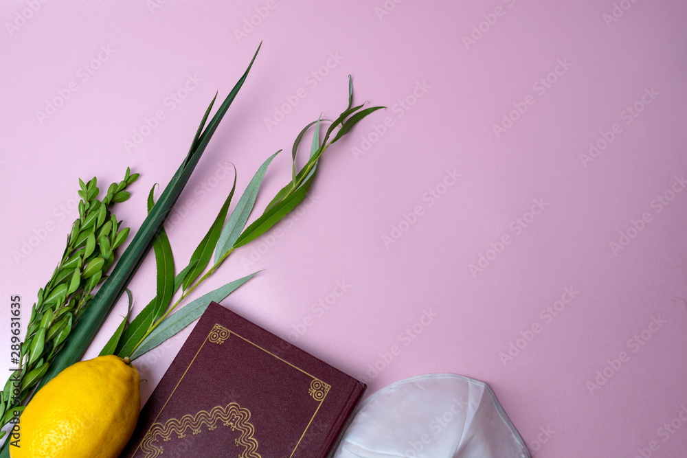 Symbols of jewish fall festival of Sukkot, lulav - etrog, palm branch ...