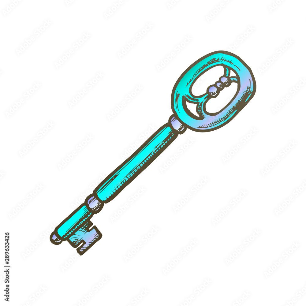 Classical Key Filigree Medieval Color Vector. Unlock Warded Lock Detail ...