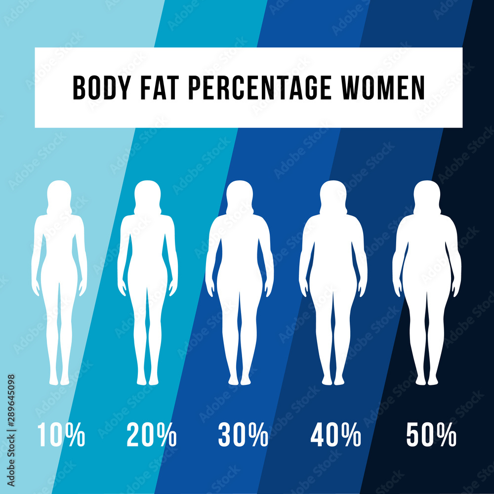 body fat percentage woman designs concept vector woman diets and ...