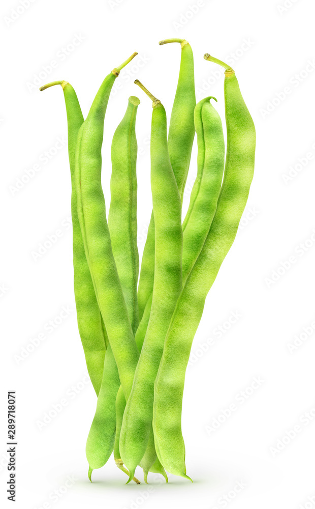 Isolated runner beans. Bundle of raw green beans standing vertical ...