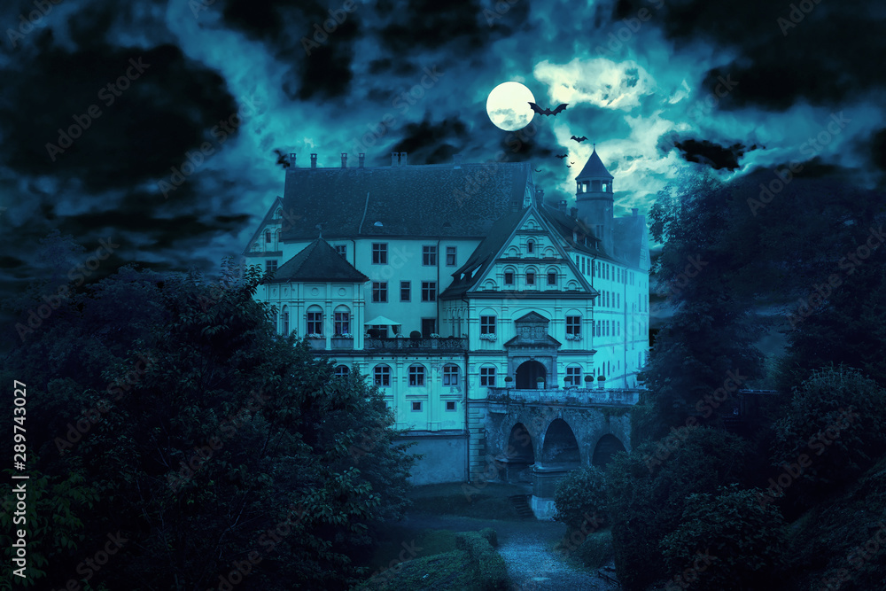 Fotka „Haunted house at night. Old spooky castle in full moon. Creepy ...